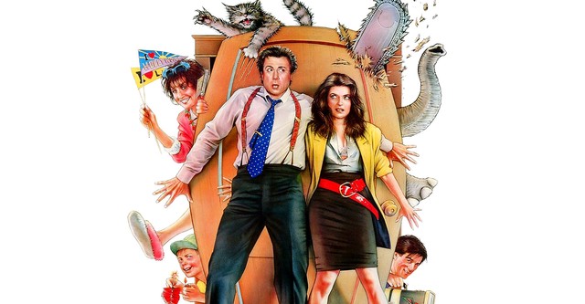 Roba da matti - film: guarda streaming online