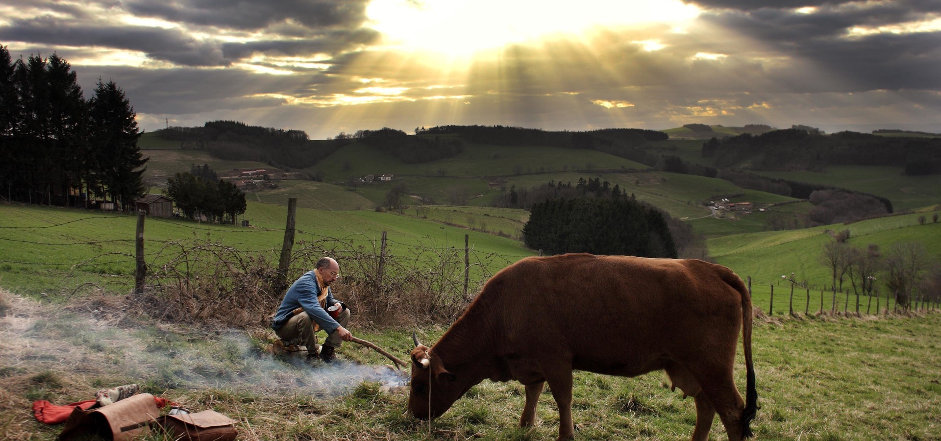 Où regarder La Vache en streaming complet et légal