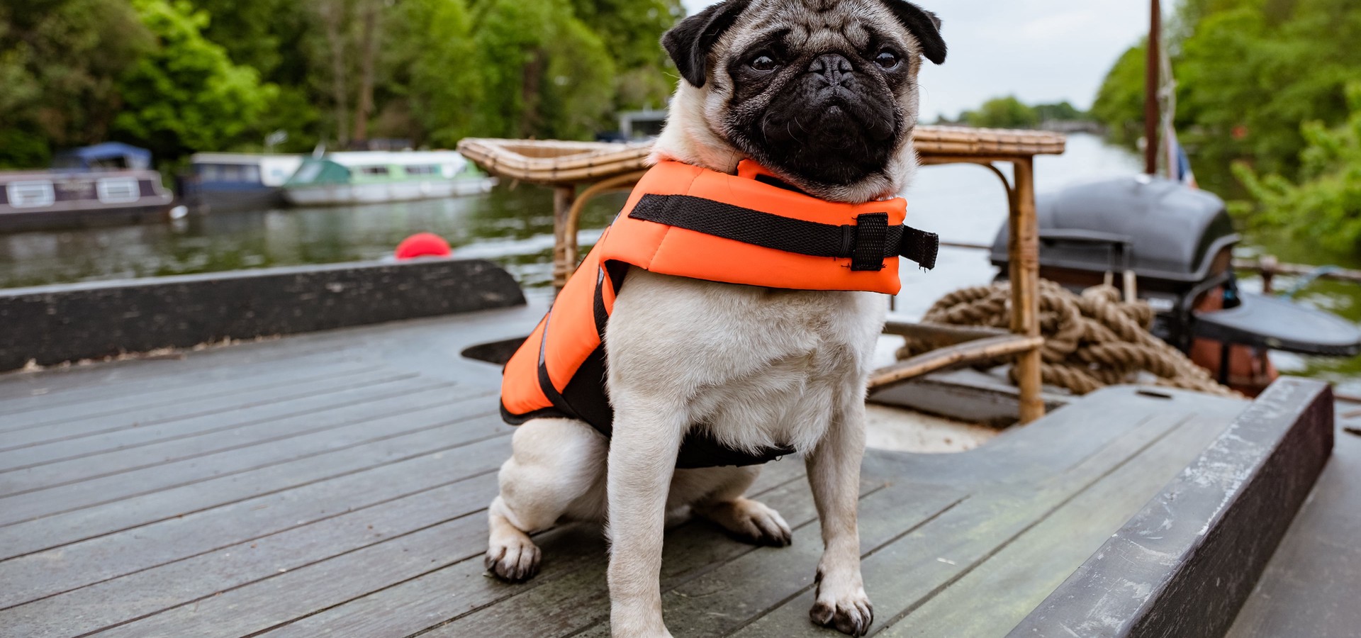 Patrick - movie: where to watch streaming online