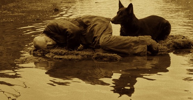 Stalker streaming: where to watch movie online?