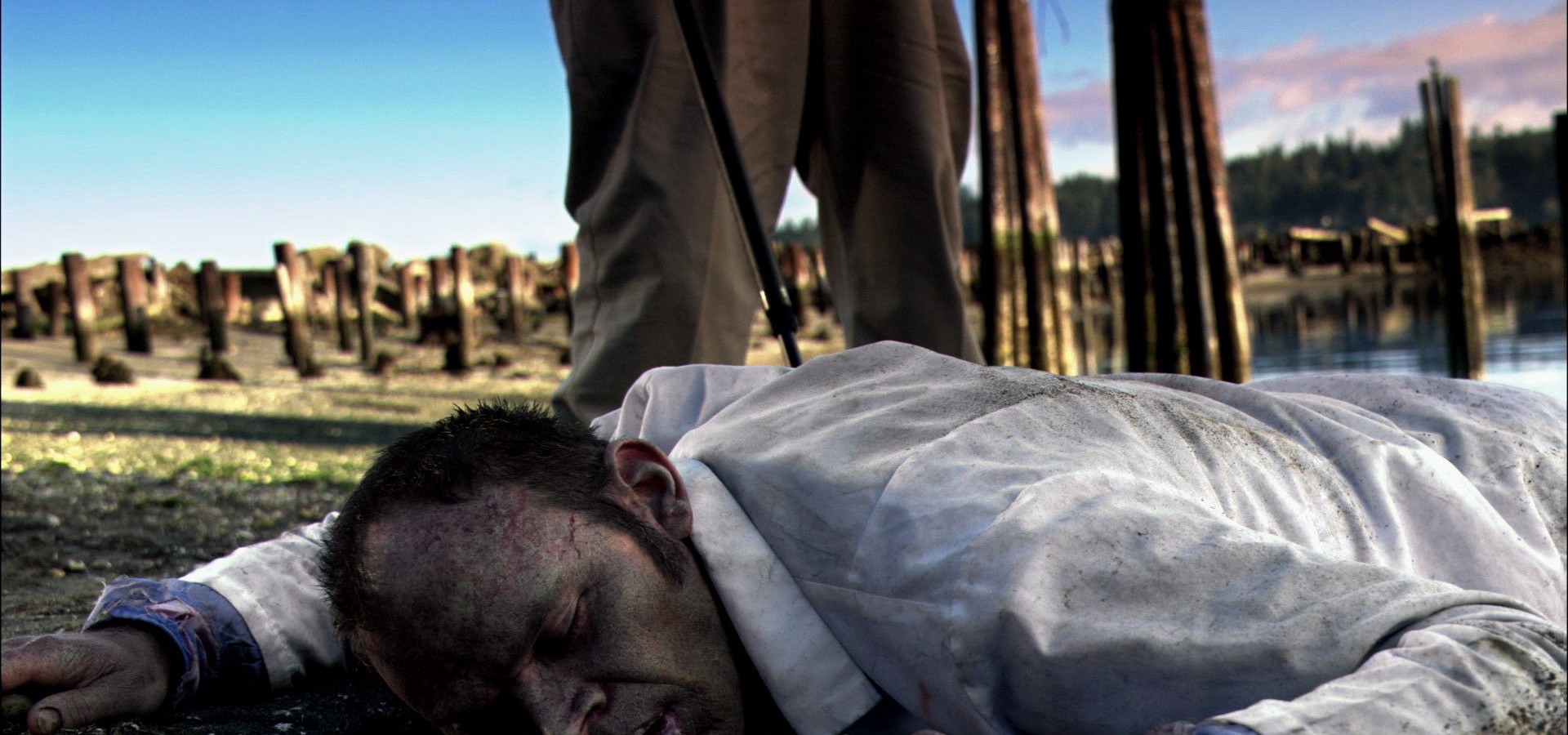 ZMD: Zombies of Mass Destruction streaming online