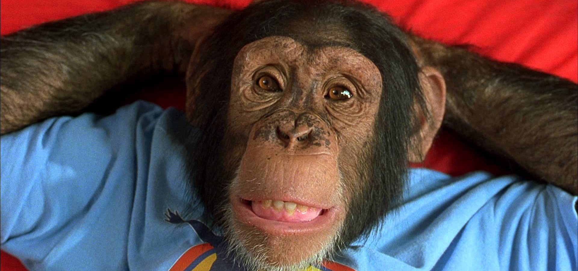 Regarder MXP: Most Xtreme Primate en streaming