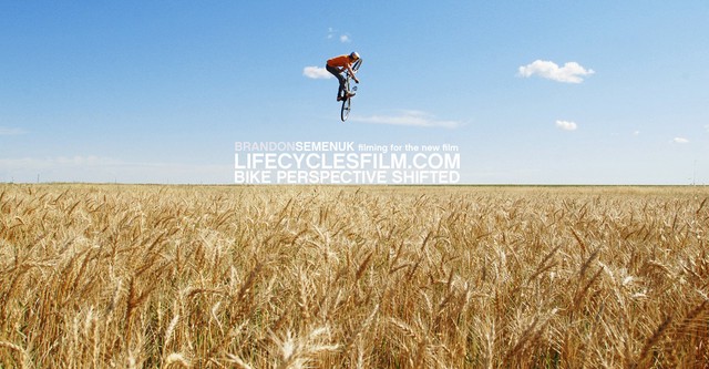 Life Cycles streaming: where to watch movie online?