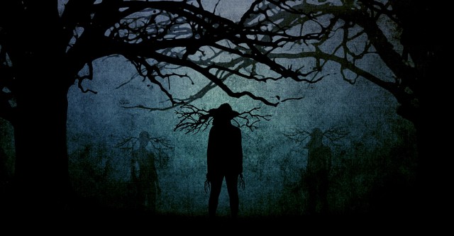 Waldgeist streaming: where to watch movie online?