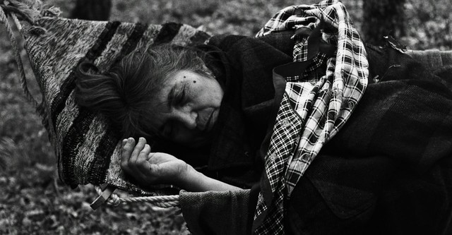 Koza yayını: İnternette nereden film izlenir?