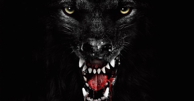 The Pack streaming: where to watch movie online?