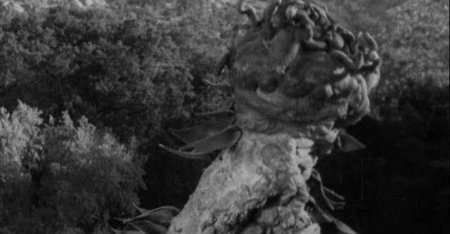 The Creeping Terror streaming: where to watch online?