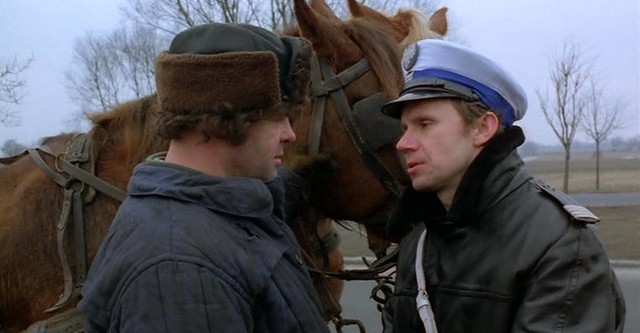 Miś - streaming: gdzie obejrzeć film online?