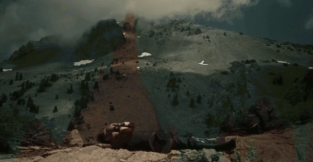 Prey for Death streaming: where to watch online?