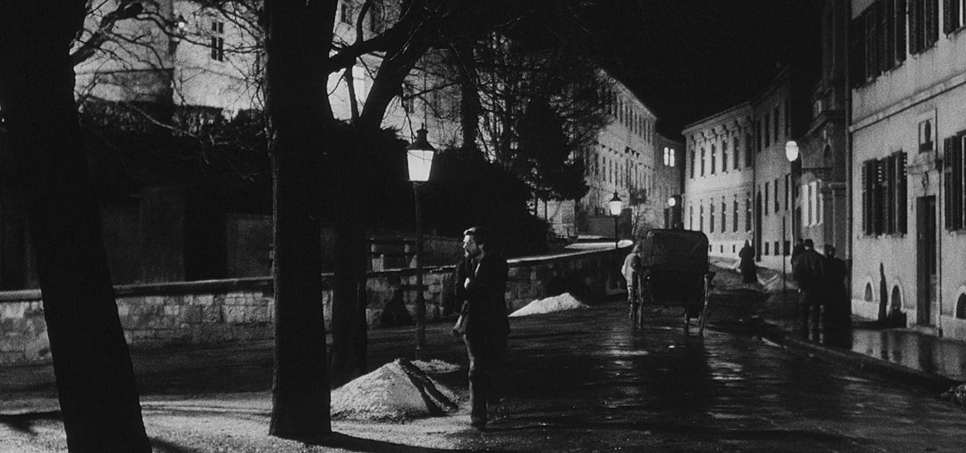 The Organizer streaming: where to watch online?