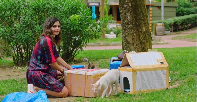 Fica Comigo filme - Veja onde assistir online