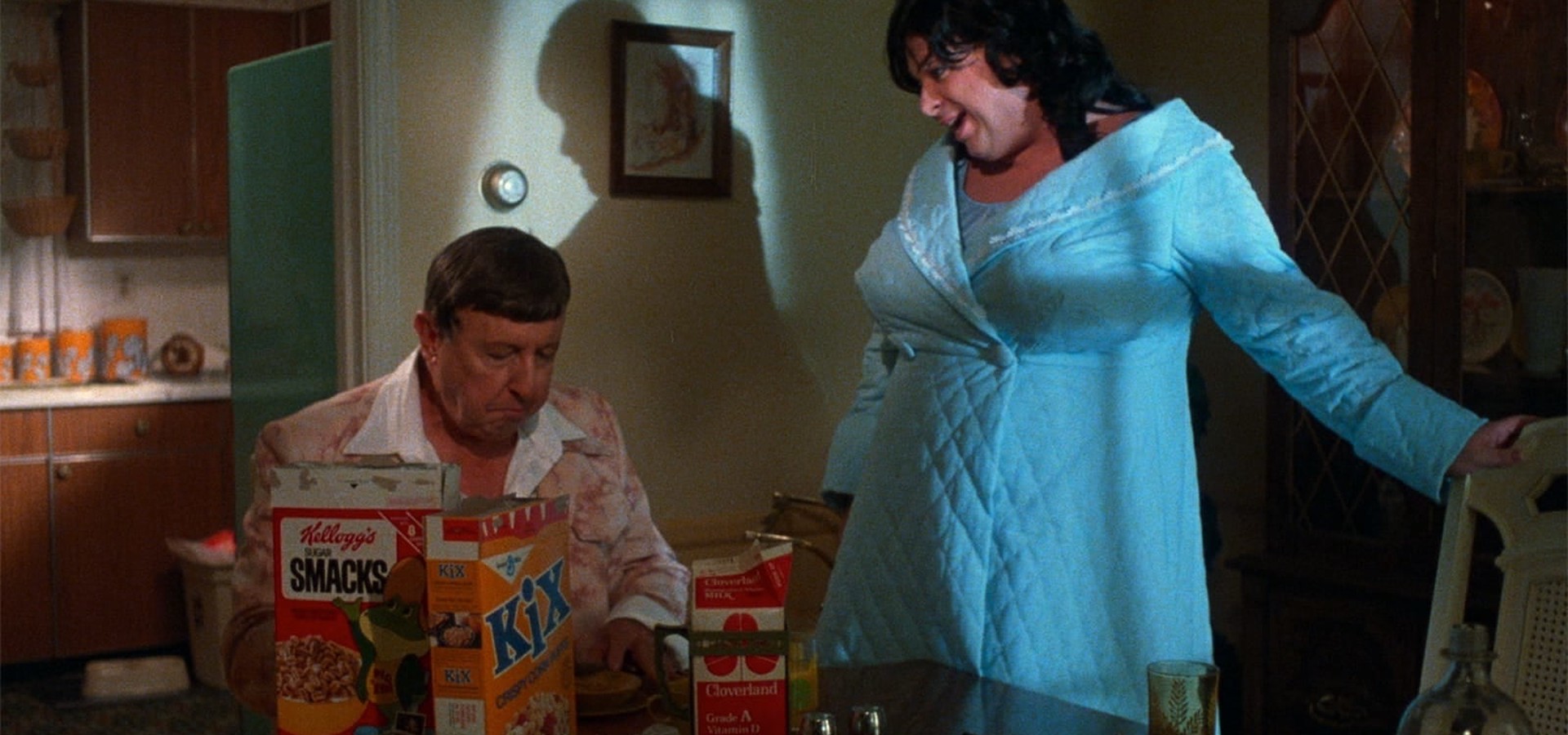 Polyester - movie: where to watch streaming online
