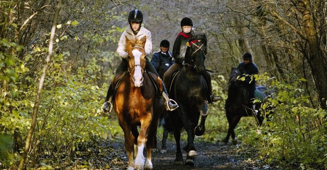 Zafir streaming: where to watch movie online?