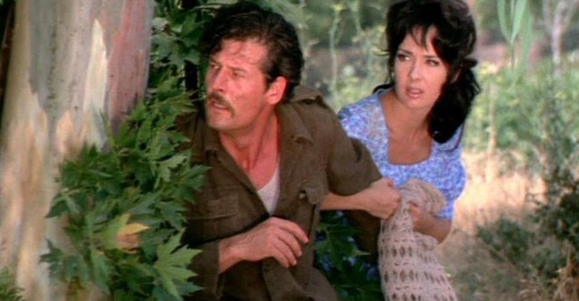 Hero Bunker streaming: where to watch movie online?