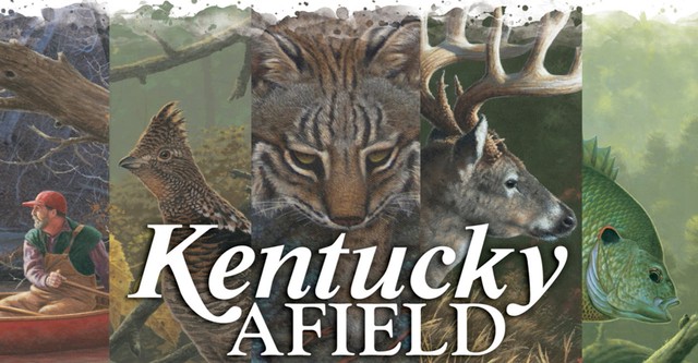 Kentucky Afield Season 41 - watch episodes streaming online