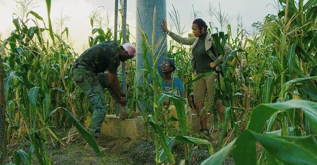 The Island streaming: where to watch movie online?