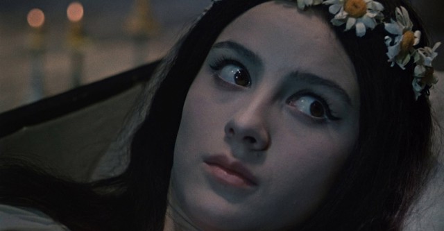 El Viyi - película: Ver online completa en español