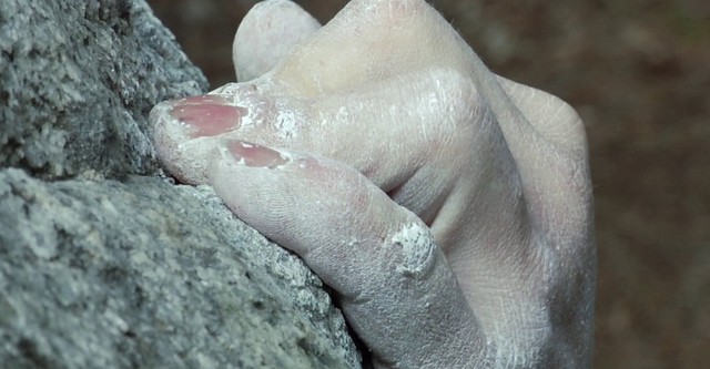 Fine Lines - película: Ver online completas en español