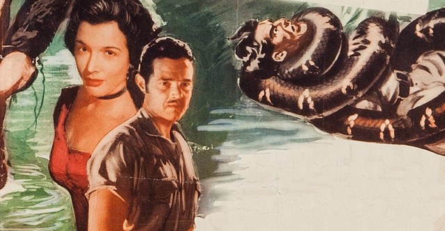 Amazon Quest streaming: where to watch movie online?