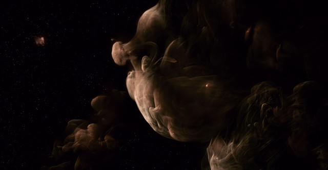 The Tree of Life streaming: where to watch online?