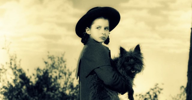 Bad Little Angel streaming: where to watch online?