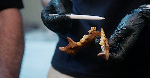 NOVA: First Face of America streaming online