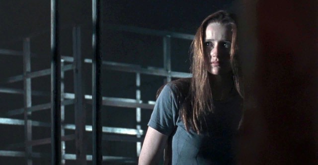 Slaughter - movie: where to watch streaming online