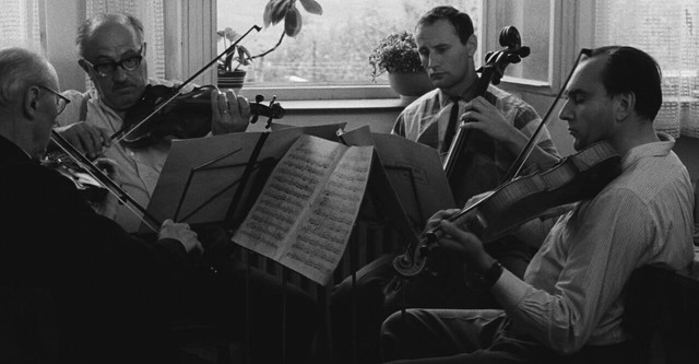 Intimate Lighting streaming: where to watch online?