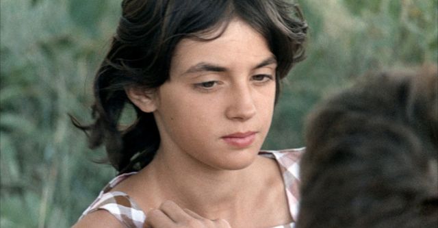 Mis pequeños amores - película: Ver online en español