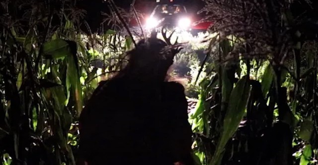 Fawn streaming: where to watch movie online?