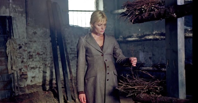 Los cuervos - película: Ver online completa en español