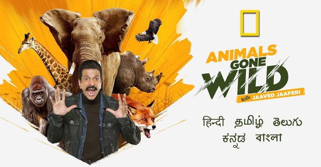 Animals Gone Wild Season 3 - watch episodes streaming online