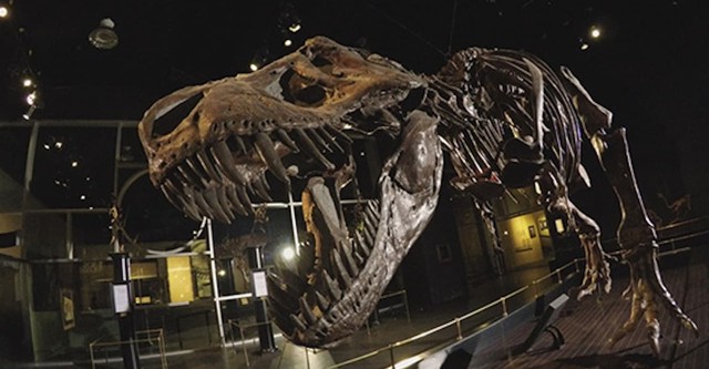 Dinosaur Extinction: Behind the Asteroid Impact Theory