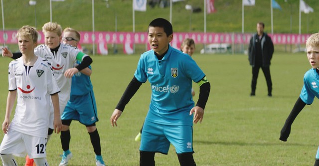 The Falcons streaming: where to watch movie online?