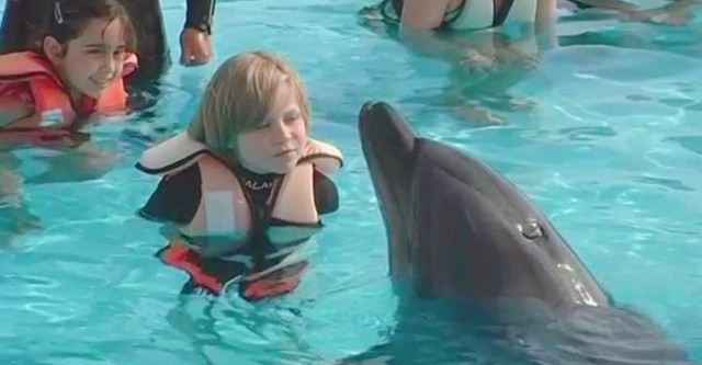 Saving Flipper - movie: watch stream online