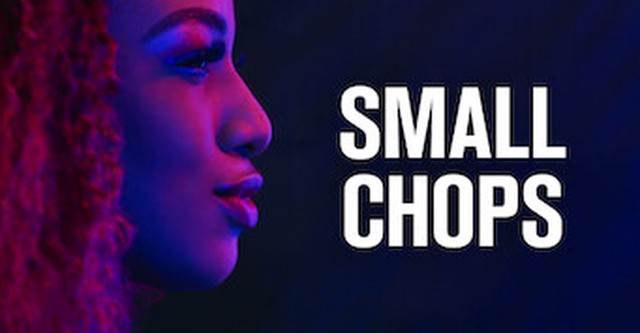 Small Chops streaming: where to watch movie online?