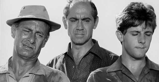 The Hunt streaming: where to watch movie online?