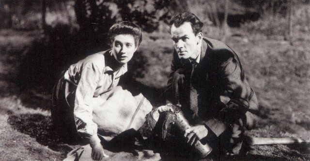 The Flemish Farm streaming: where to watch online?