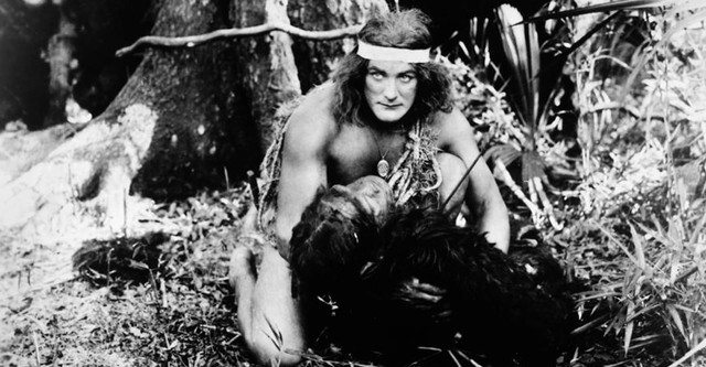 Tarzan de los monos - película: Ver online en español