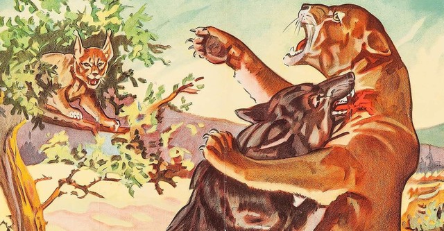 Trailing the Killer - movie: watch streaming online