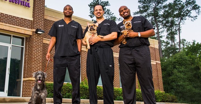 The Vet Life - Ver la serie online completas en español