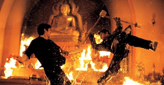 The Protector - movie: watch streaming online