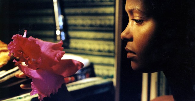 Besieged streaming: where to watch movie online?