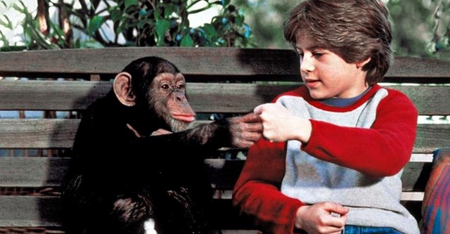 The Jennie Project streaming: where to watch online?