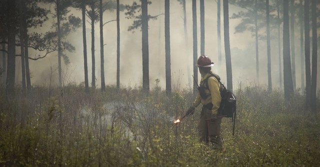 Anchor Point streaming: where to watch movie online?