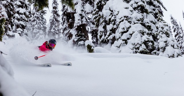 Rogue Elements streaming: where to watch online?