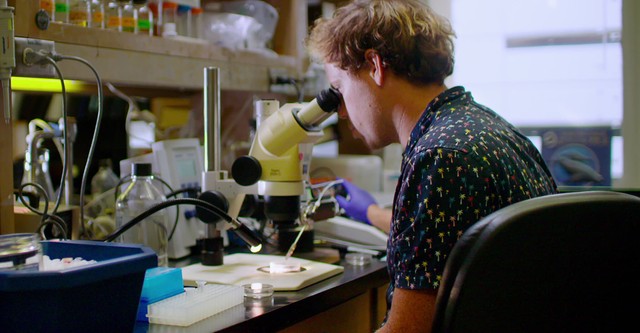 Human Nature streaming: where to watch movie online?