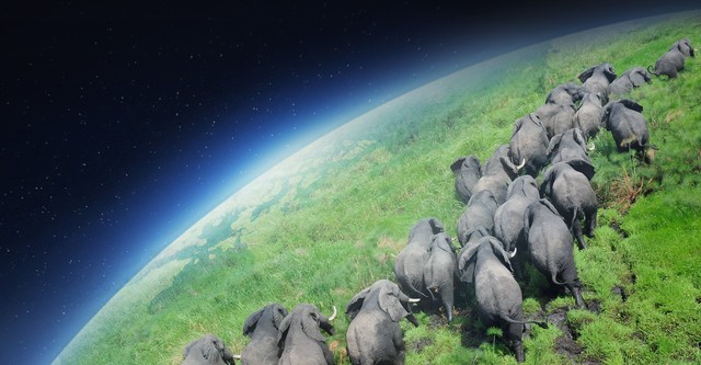 Planet Earth Season 1 - watch full episodes streaming online