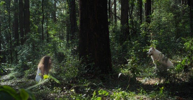 All Silent Dogs - movie: watch stream online