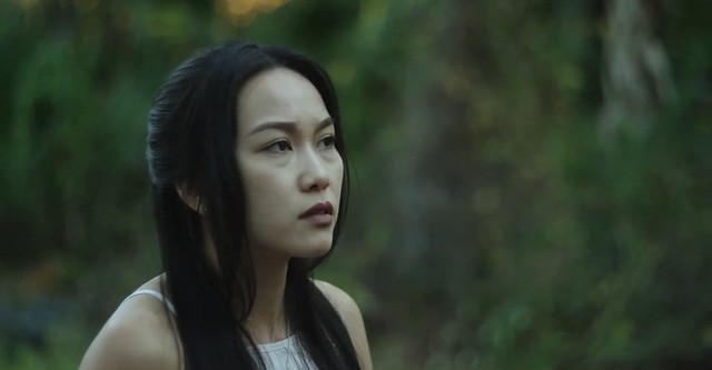 Unsheltered streaming: where to watch movie online?